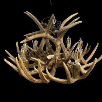 Shop Collections - Real Antler Chandeliers & Lighting| Antler ...