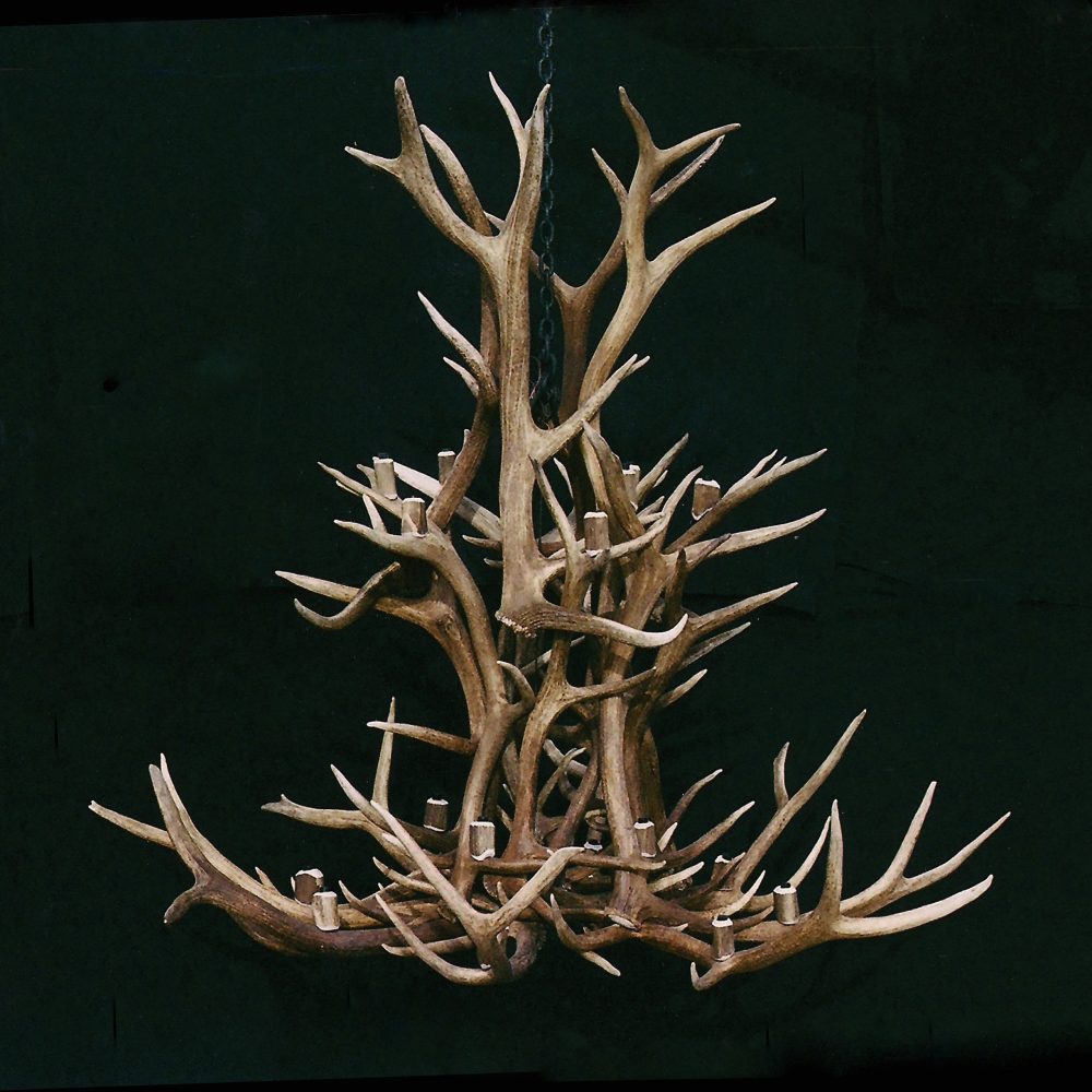 Shop Collections - Real Antler Chandeliers & Lighting| Antler ...